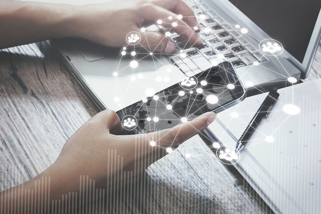 What is B2C Payment System And Banking?