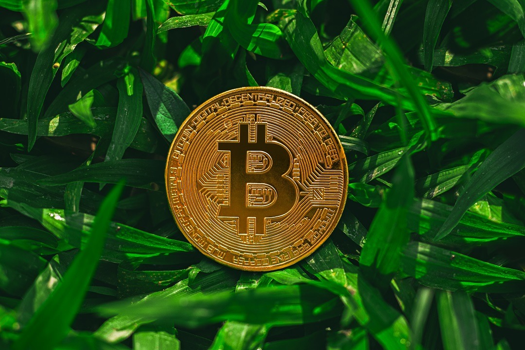 What Benefits Does Crypto Friendly Bank Bring to Business?