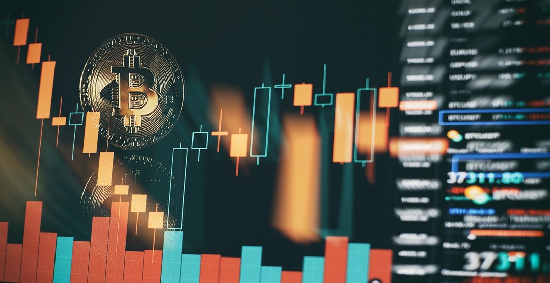 How to Use Digital Crypto Payment in Business?